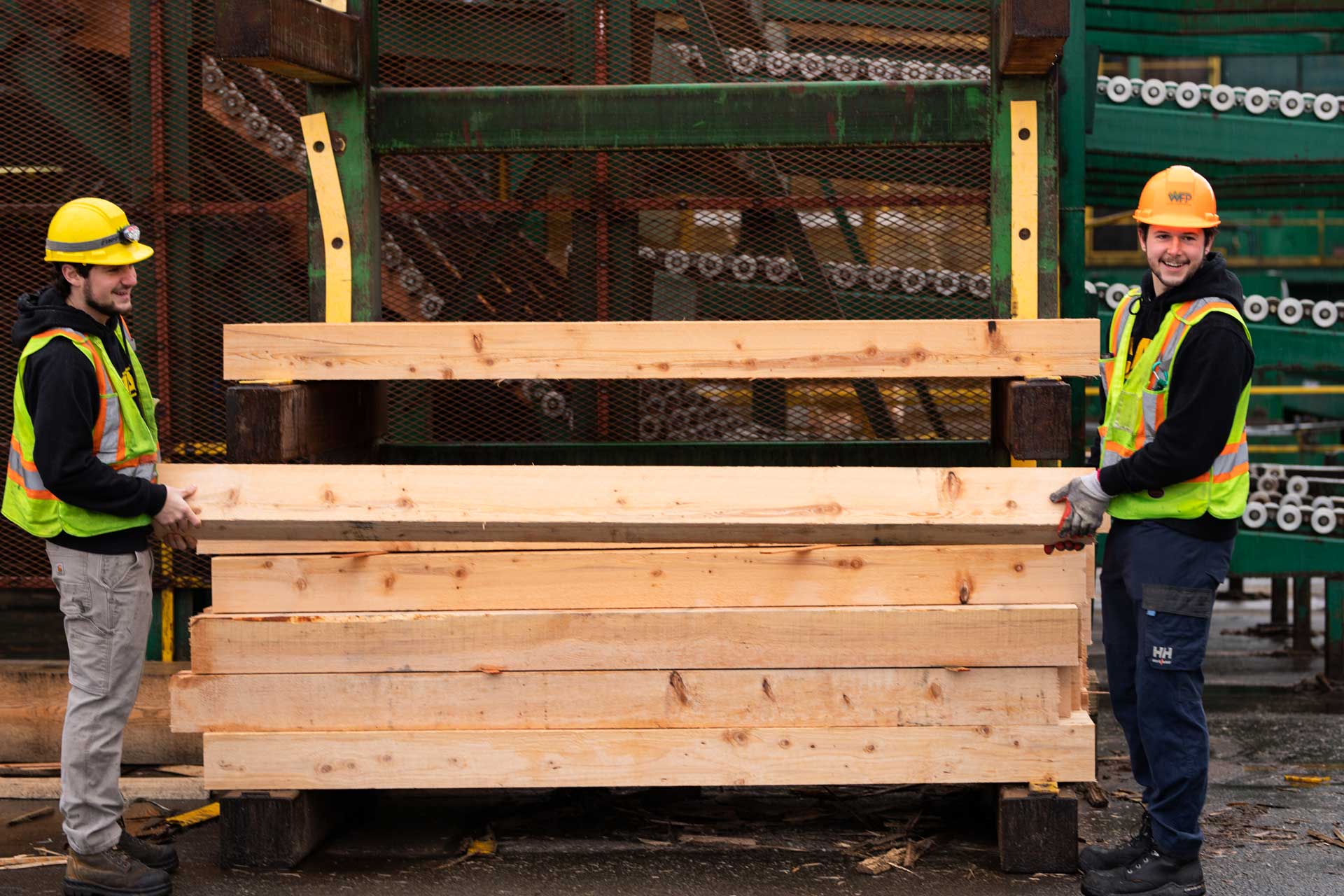 Lesson 1 - Wood Structure - ER Mill Services Ltd.